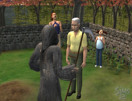 The Sims 2 PC Collection: Base Game and Pack Features