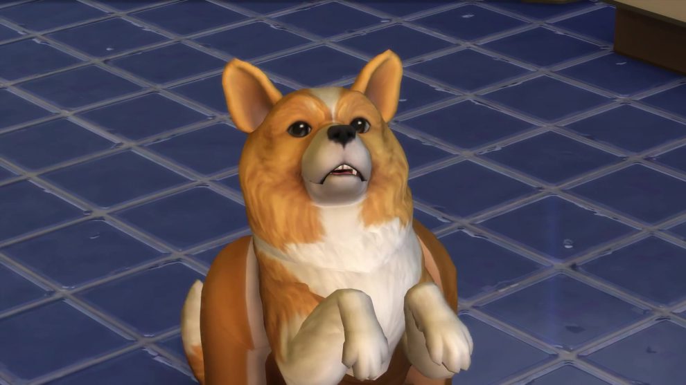 The Sims 4 Cats & Dogs: GamesRadar Interview with Grant Rodiek