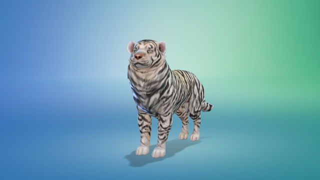 12 Animals recreated in The Sims 4 Cats & Dogs