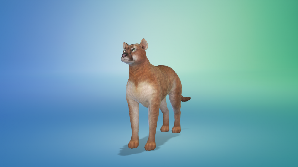 12 Animals recreated in The Sims 4 Cats & Dogs