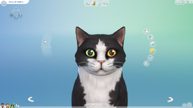 The Sims 4 Cats & Dogs: Create A Pet 101