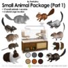Expand your My First Pet Experience with the Small Animals CC Package