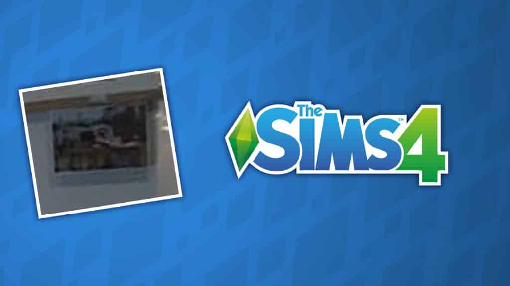 This extremely blurry photo could be from the upcoming Sims 4 Pack