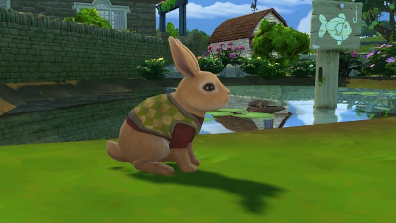 The Sims 4 Cottage Living: All About Animal Clothes!