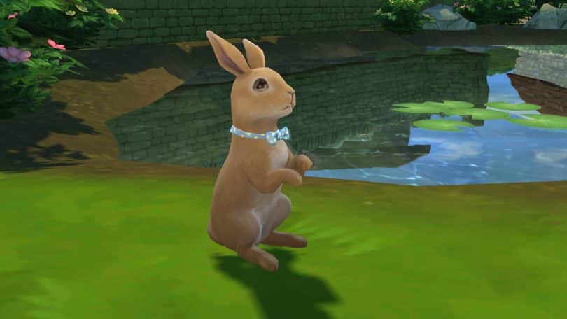 The Sims 4 Cottage Living: All About Animal Clothes!
