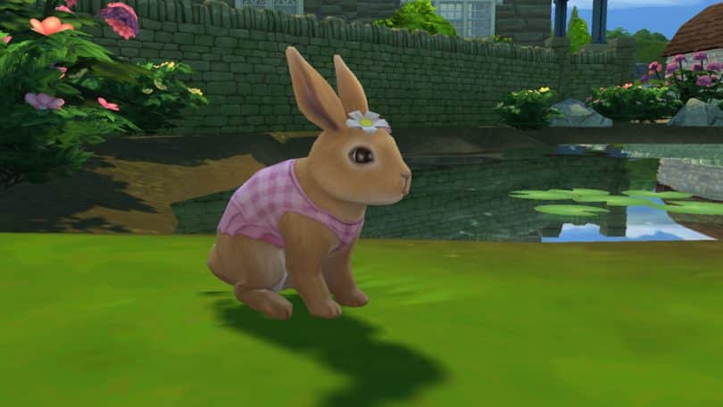 The Sims 4 Cottage Living: All About Animal Clothes!