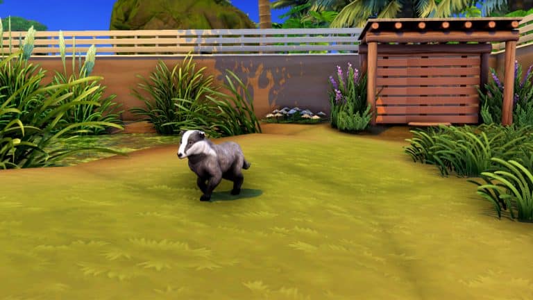 Building a Functional Zoo in The Sims 4