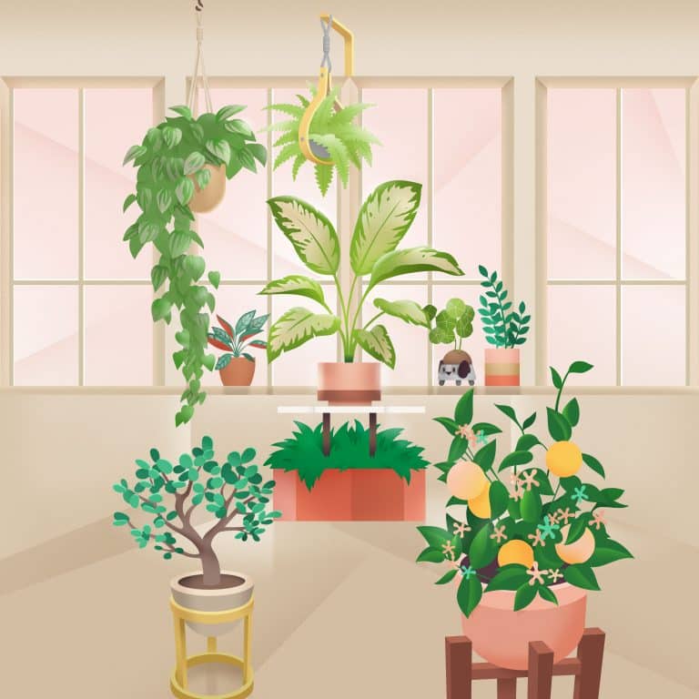 The Sims 4 Blooming Rooms Kit: Official Features + Assets