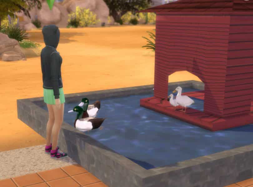 A Modder is Working on a Functional Duck Pond for The Sims 4