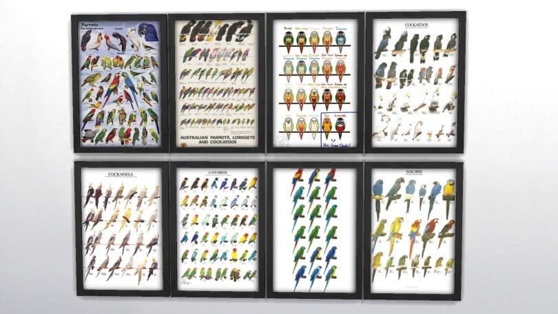 Overview of The Sims 4 Parrots CC Stuff Pack