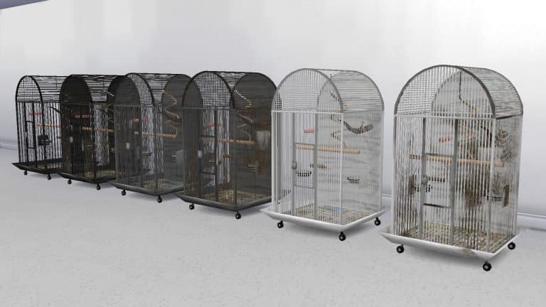 Overview of The Sims 4 Parrots CC Stuff Pack