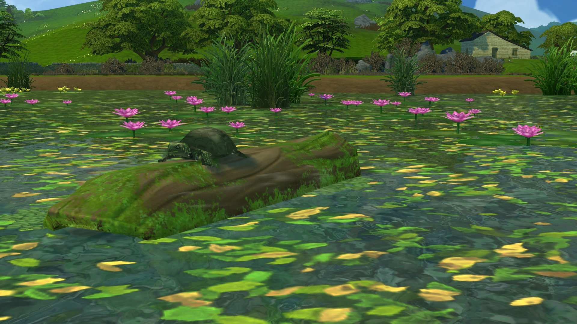 How to Build a Pond in The Sims 4