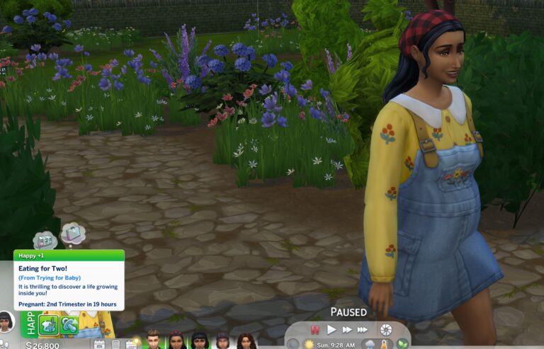 The Sims 4 Science Baby Mod: Surrogacy Improvements