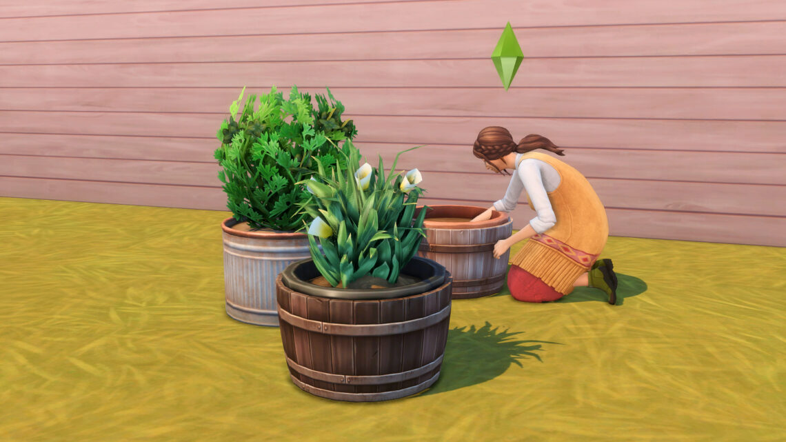 These Sims 4 Horse Ranch Debug Items Can Be Usable in the Game